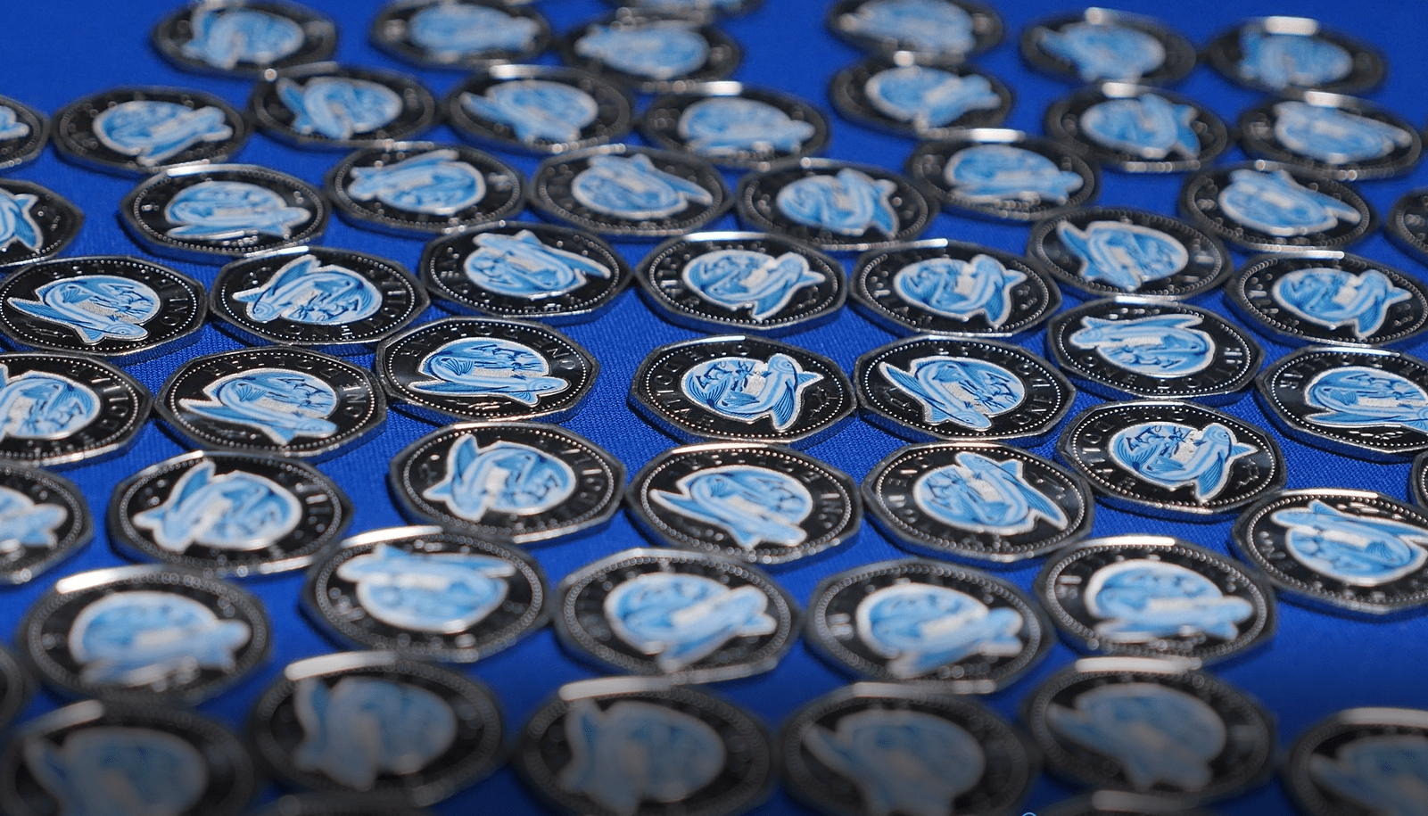 Circulation Coins