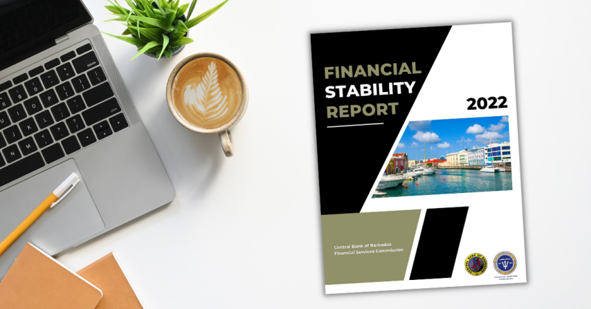 The 2022 Financial Stability Report