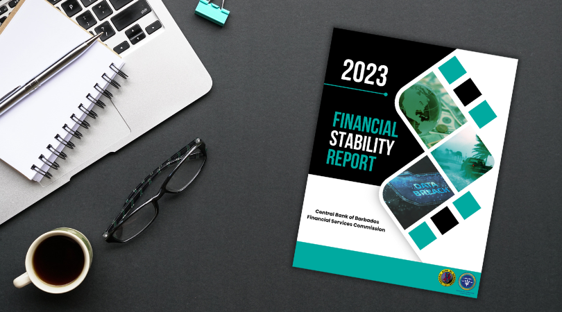 The 2023 Financial Stability Report
